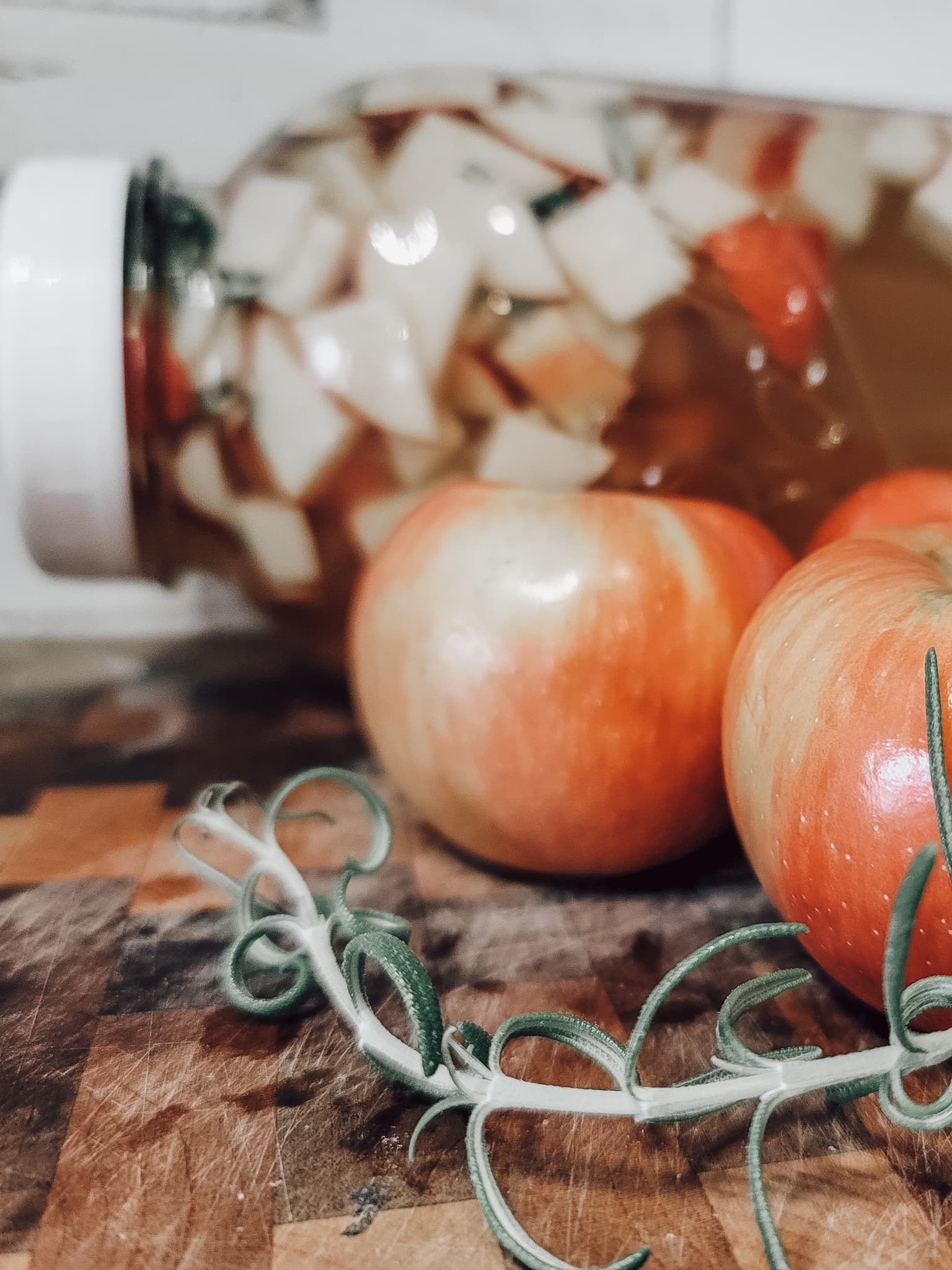 Apple Kombucha with Rosemary | Healing Home Recipes