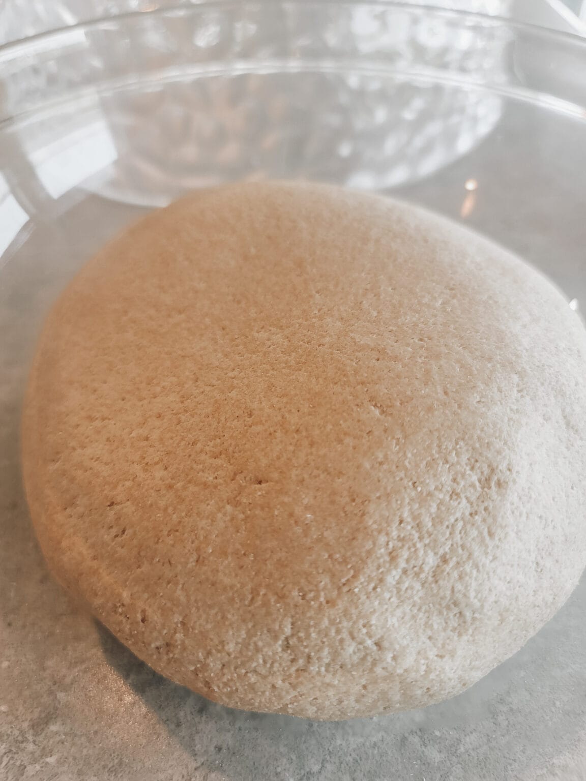 Whole Wheat Sourdough Bread (Simple Steps)