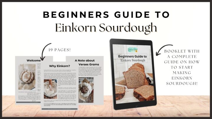 Einkorn Cinnamon Rolls | Healing Home Recipes