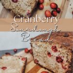 Sourdough Cranberry Bread | Healing Home Recipes